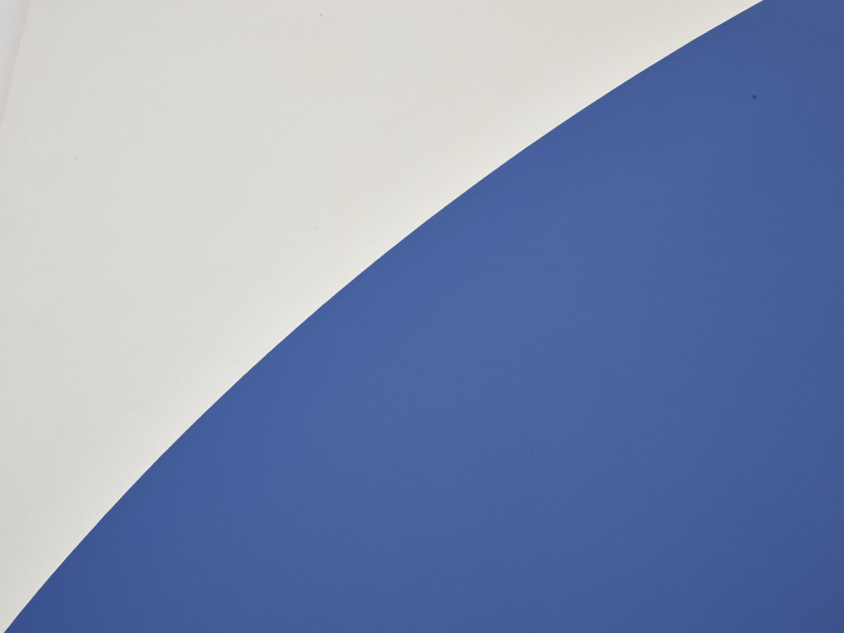 ELLSWORTH KELLY - Lévy Gorvy