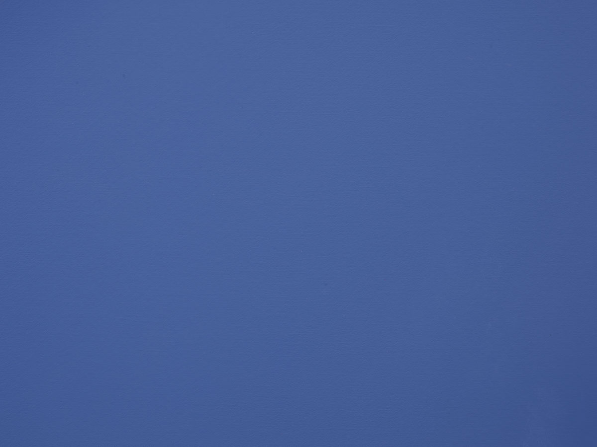 ELLSWORTH KELLY - Lévy Gorvy